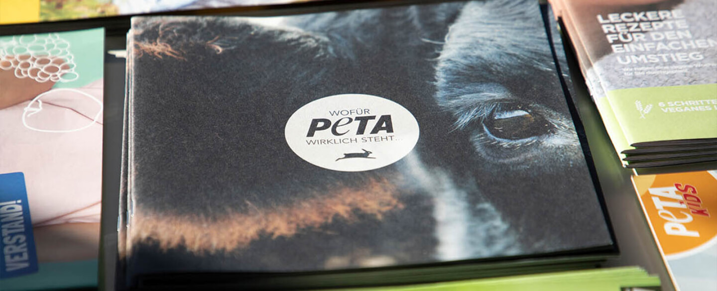 So erhalten Sie PETA-Infomaterial für Ihr Unternehmen
