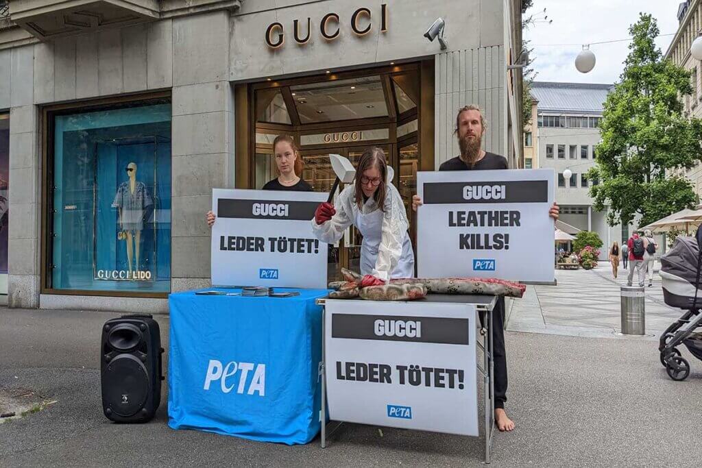 PETAs Demo-Touren in der Schweiz: Katzenfleisch & Gucci - PETA ...